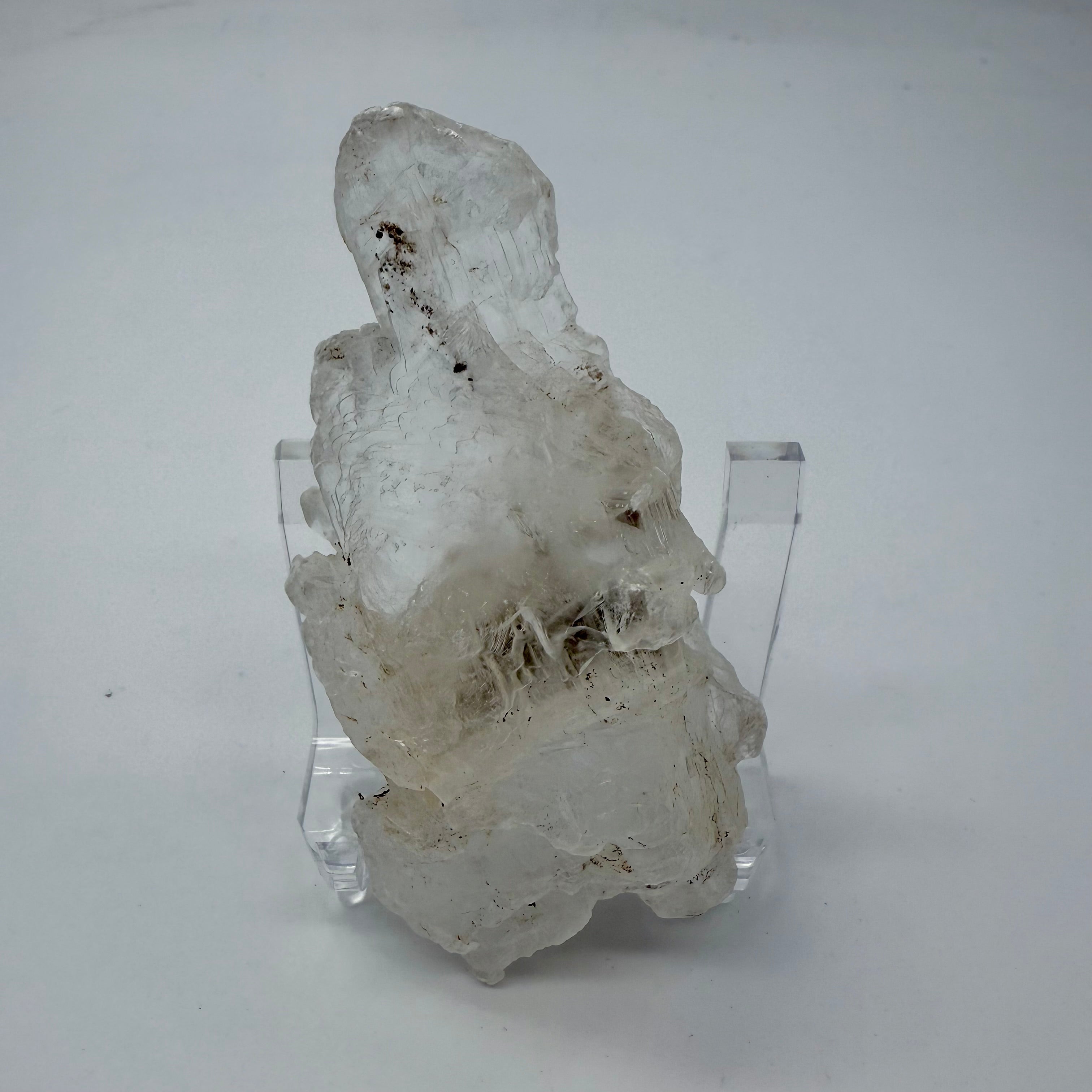 Fishtail Selenite Quartz Crystal - Africa – The Crystal Spirits