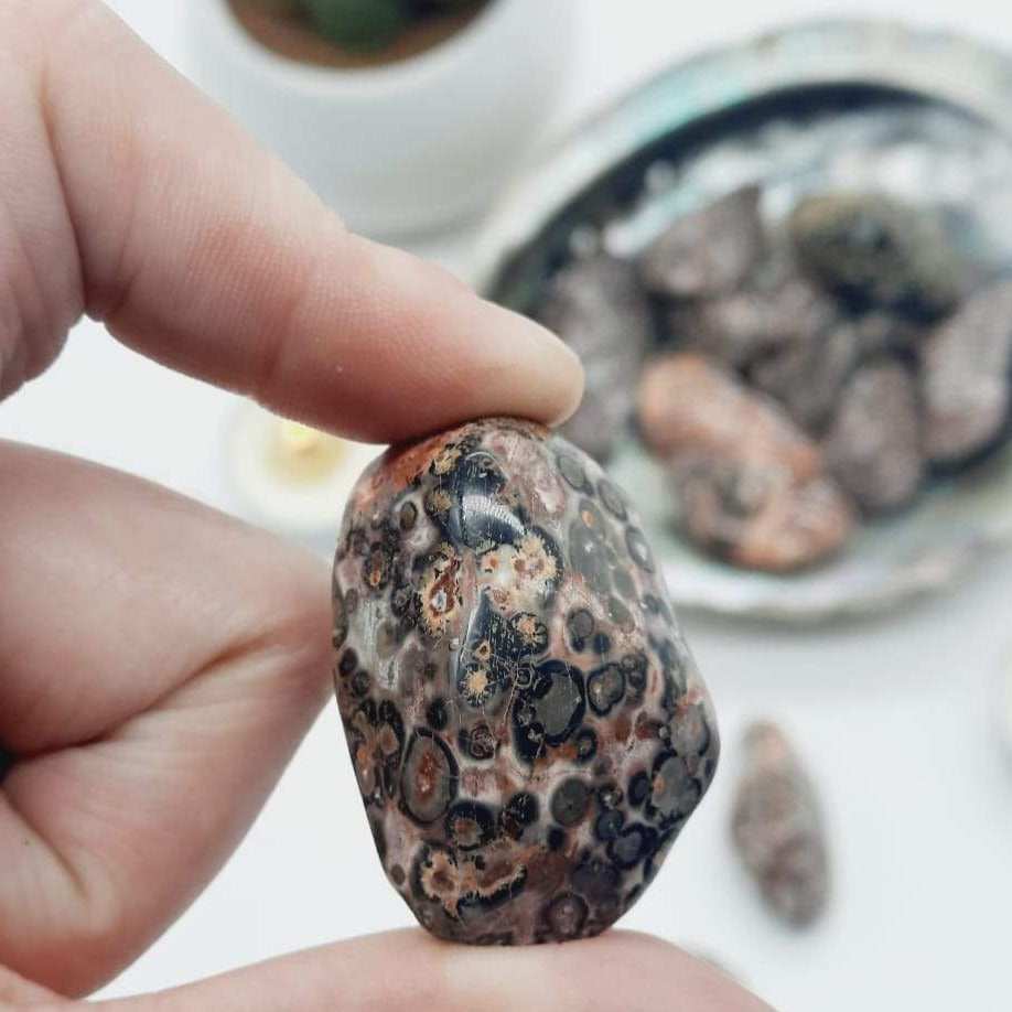 Small Tumbled Leopard Skin Japer – The Crystal Spirits